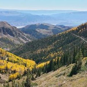 BONNEY WATSON - Updated January 2026 - 29 Photos & 26 Reviews - 16445 ...