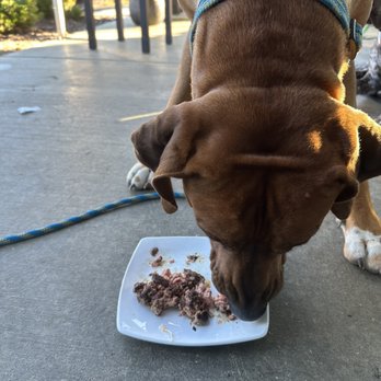 7 DEVILS WATERFRONT ALEHOUSE - Updated June 2024 - 245 Photos & 253 ...