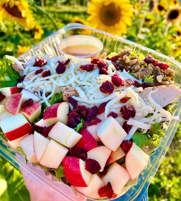 MT AIRY ORCHARDS - Updated August 2024 - 92 Photos & 34 Reviews - 522 E ...