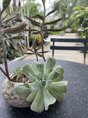 ROGER WILLIAMS PARK BOTANICAL CENTER - 189 Photos & 37 Reviews - 1000 ...