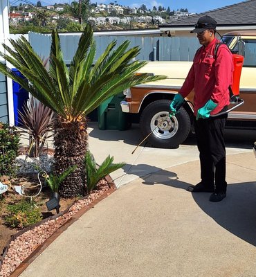 MISSION PEST CONTROL - Updated October 2025 - 111 Reviews - 9863 Pacific Heights Blvd B, San ...