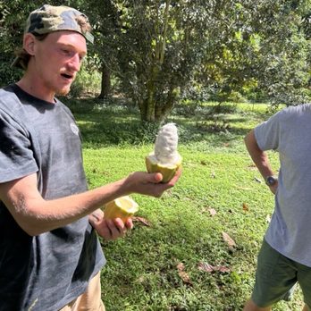 ONO ORGANIC FARMS - Updated December 2025 - 101 Photos & 52 Reviews ...