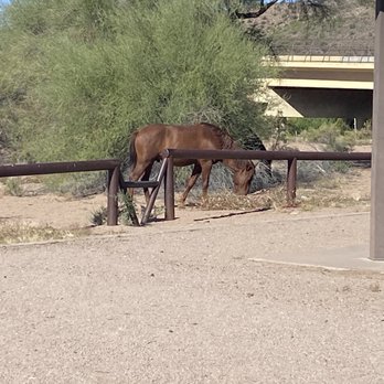 PEBBLE BEACH RECREATION SITE - Updated November 2025 - 28 Photos - Mesa ...