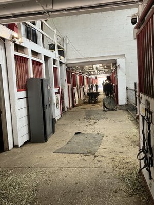MEMORY LANE STABLES - Updated July 2024 - 146 Photos & 83 Reviews ...