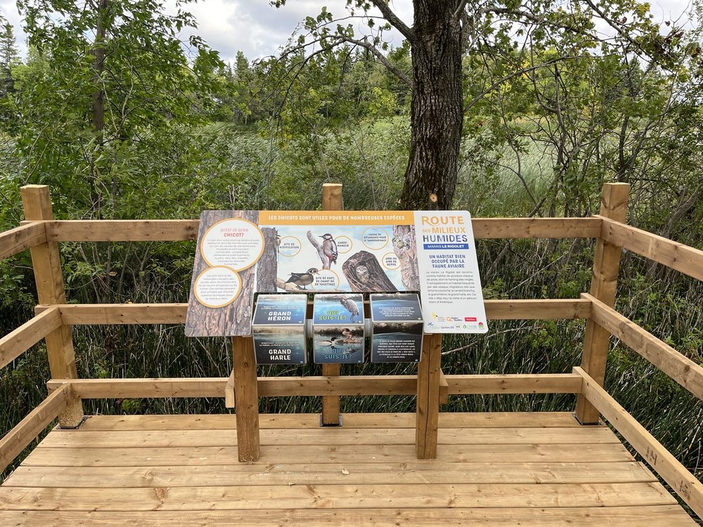 PLAGE LE RIGOLET BEACH - Updated September 2024 - 26 Photos - 18 Rue ...