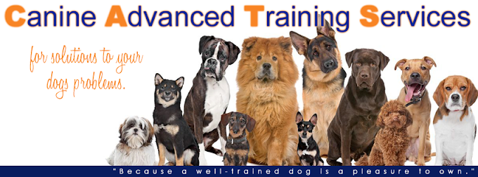 CANINE ADVANCED TRAINING SERVICES - Updated January 2026 - 21 Photos ...