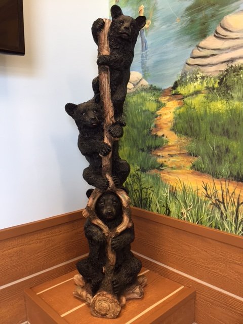 PM PEDIATRICS - Updated September 2025 - 29 Reviews - 6218 Jericho Tpke ...