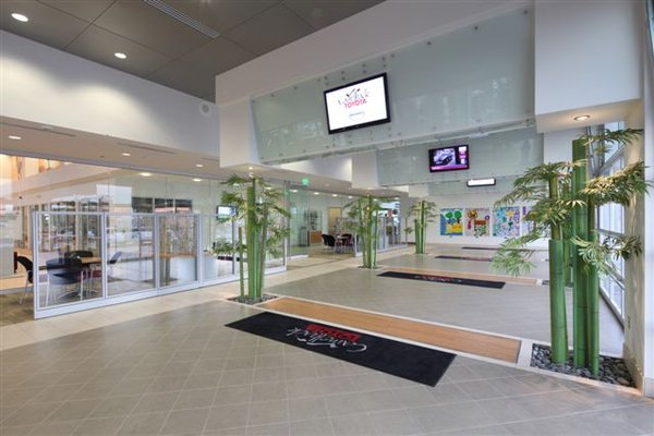 CAMELBACK TOYOTA - Updated January 2026 - 343 Photos & 1188 Reviews ...