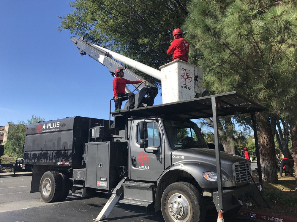 A PLUS TREE - Updated July 2025 - Merced, California - Tree Services ...