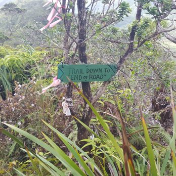 TRIPLER RIDGE - Updated December 2025 - 45 Photos & 17 Reviews - 1 ...