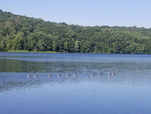 SHEPHERD LAKE - Updated October 2025 - 28 Photos & 13 Reviews ...