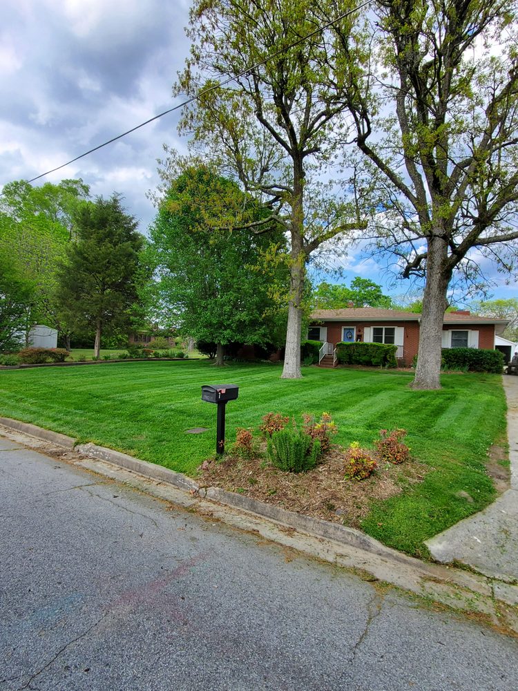 DOUBLE D LANDSCAPING & LAWNGERIE - Updated May 2024 - Request a Quote ...