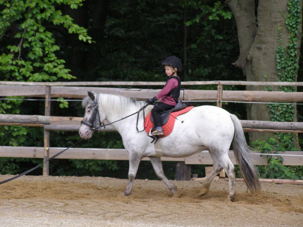 ASTRID JARITZ - Updated June 2024 - hörgas 8, Rein, Steiermark, Austria ...