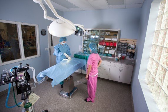 GENTLE DOCTOR ANIMAL HOSPITAL - 80 Photos - 12031 Blondo St, Omaha ...