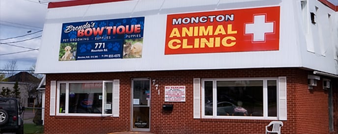 MONCTON ANIMAL HOSPITAL - Updated December 2025 - 11 Photos - 771 ...