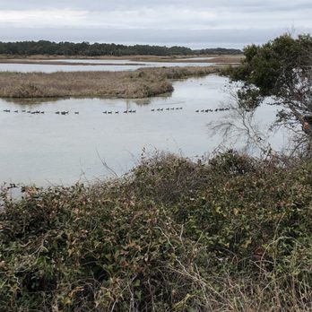 BULLS ISLAND FERRY - Updated December 2025 - 113 Photos & 18 Reviews ...