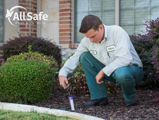 ALL-SAFE PEST & TERMITE - Updated April 2025 - 77 Photos & 93 Reviews ...