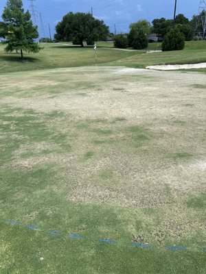 CEDAR CREST GOLF COURSE - 28 Photos & 38 Reviews - 1800 Southerland Ave ...