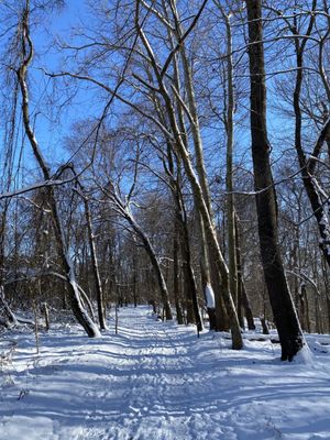 CHESTNUT RIDGE METRO PARK - Updated December 2025 - 69 Photos & 24 ...