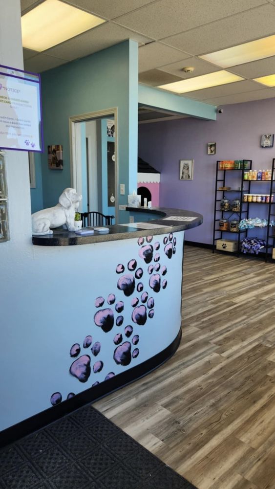 LYSA’S PET GROOMING - Updated January 2026 - 266 W Hickman Rd, Waukee, Iowa - Pet Groomers ...