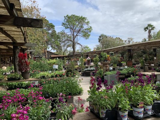 MAAS NURSERY - Updated December 2025 - 552 Photos & 141 Reviews - 5511 ...