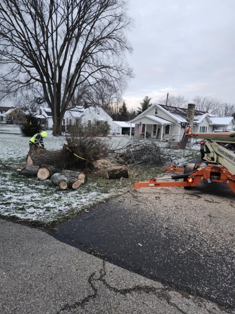 T&M TREE SERVICE - Updated February 2025 - Chillicothe, Ohio - Tree Services - Phone Number - Yelp