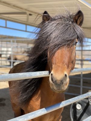 KYLE CANYON RANCH - 82 Photos - 13820 Kyle Canyon Rd, Las Vegas, Nevada ...
