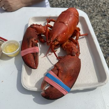 RYE HARBOR LOBSTER POUND - Updated July 2025 - 205 Photos & 157 Reviews ...