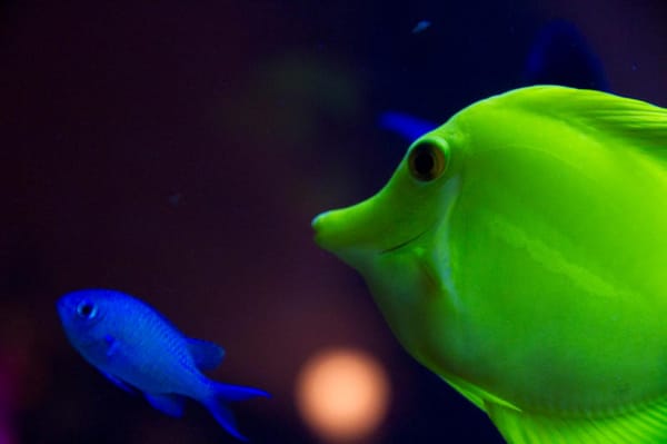 TRUE REST FLOAT SPA - Updated December 2025 - 77 Photos & 192 Reviews ...