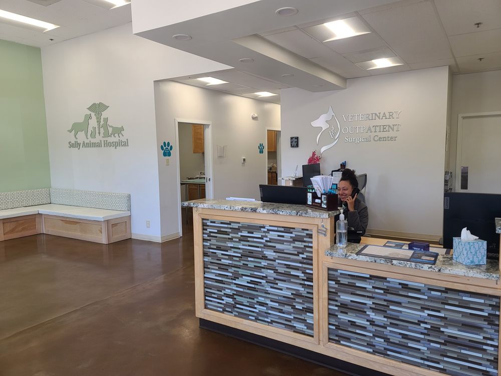 SULLY ANIMAL HOSPITAL - Updated October 2025 - 26 Photos & 57 Reviews ...