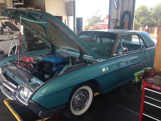 SHELL RAPID LUBE - Updated July 2025 - 17 Reviews - 3601 Wyoming Blvd ...