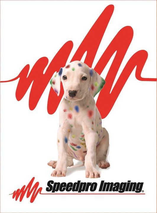 SPEEDPRO IMAGING OF SOUTH ORANGE COUNTY - 23382 Madero Rd, Mission ...