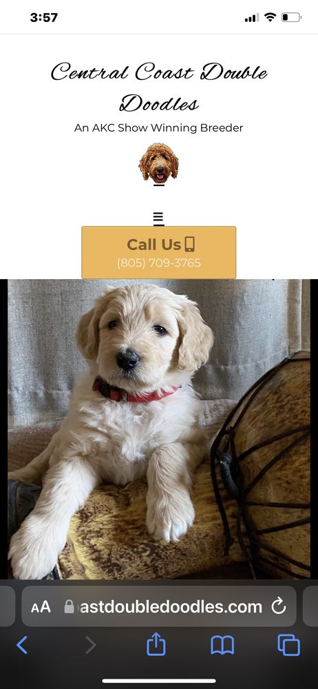 CENTRAL COAST DOUBLE DOODLES - Updated October 2025 - 27 Photos - 1136 ...