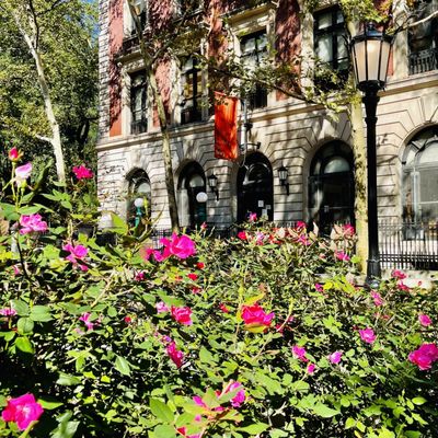 SEWARD PARK LIBRARY - NEW YORK PUBLIC LIBRARY - Updated August 2025 ...