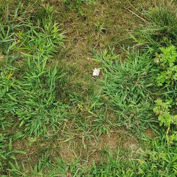 RESURRECTION CEMETERY - Updated January 2026 - 16 Reviews - 5201 ...