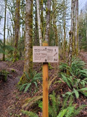 MOSS LAKE TRAIL - Updated June 2025 - 35608 NE Moss Lake Rd, Carnation ...