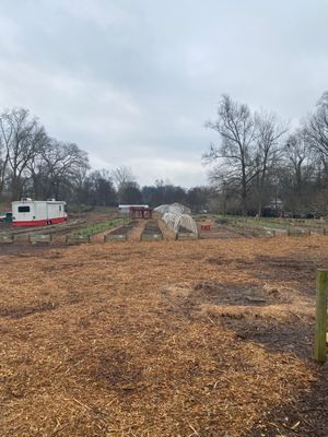 TRULY LIVING WELL CENTER FOR NATURAL URBAN AGRICULTURE - Updated ...