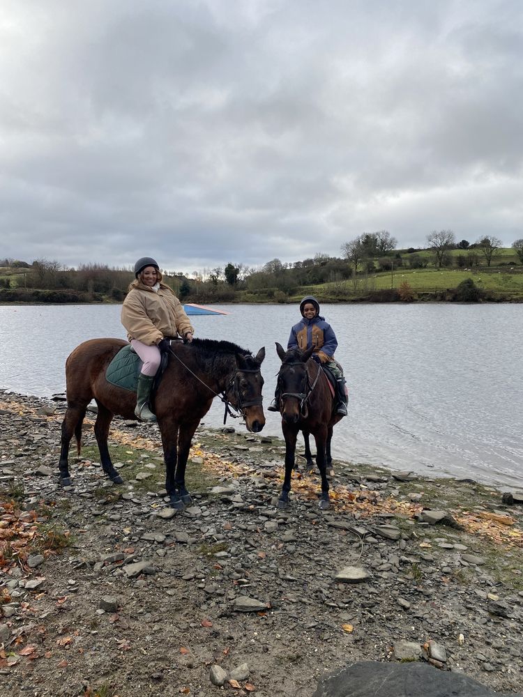 HOLLYWOOD HORSE AND PONY TREKKING - Updated January 2026 - 22 Photos ...