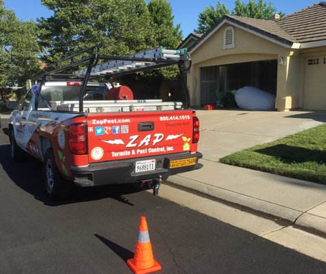 ZAP TERMITE & PEST CONTROL - Updated August 2025 - 10 Reviews - 1755 ...