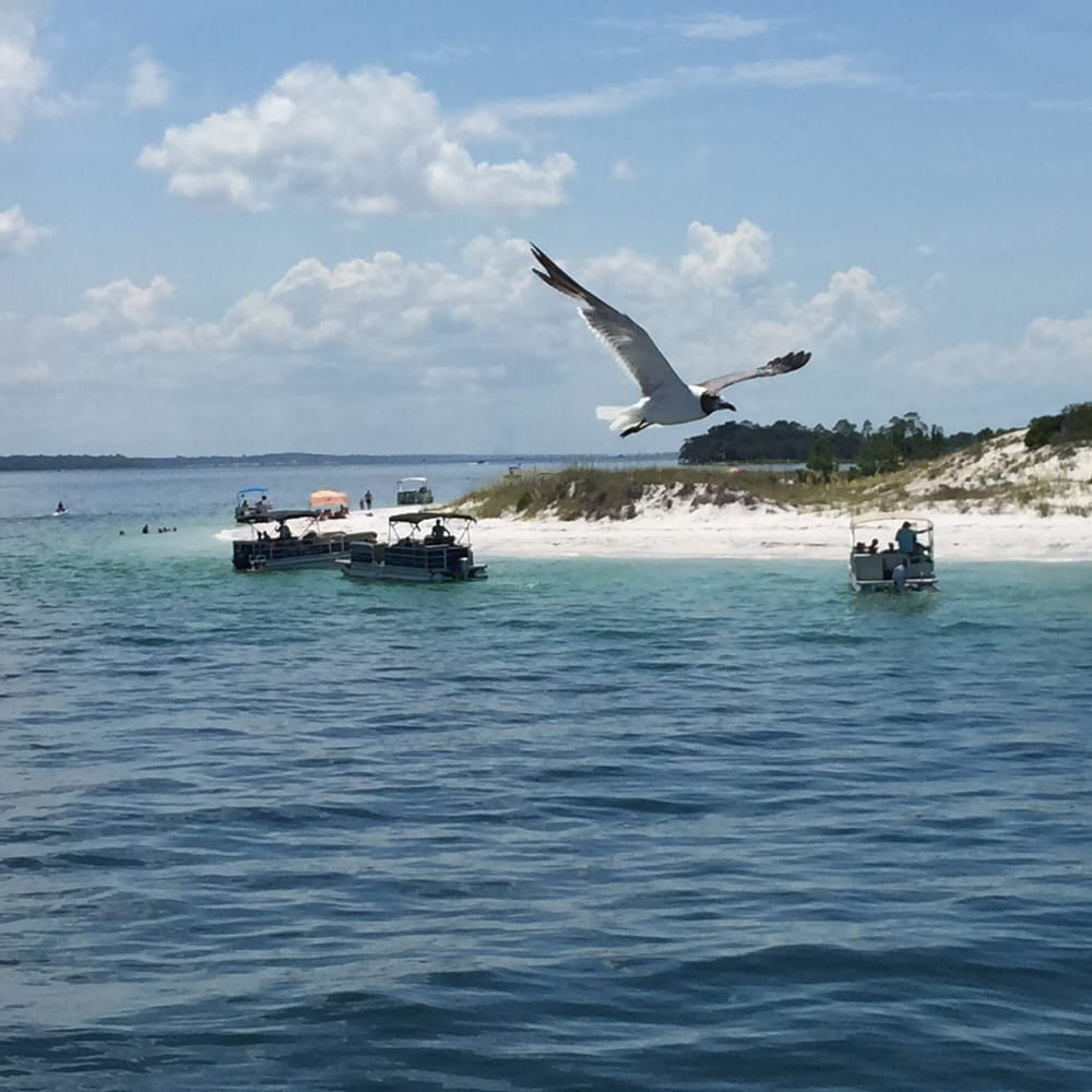 SHELL ISLAND CRUISES-ABOARD CAPT ANDERSON III - Updated January 2026 ...