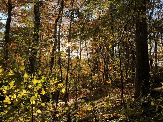 COLD SPRING HARBOR STATE PARK - 146 Photos & 51 Reviews - Hiking - 83 ...