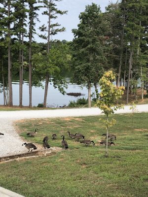 YARBERRY CAMPGROUND - 25 Photos - Campgrounds - 4825 Yarberry Rd ...