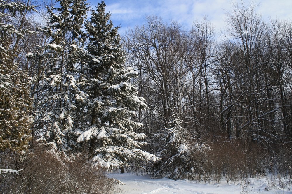LEMOINE POINT CONSERVATION AREA - Updated February 2025 - Entrances off ...