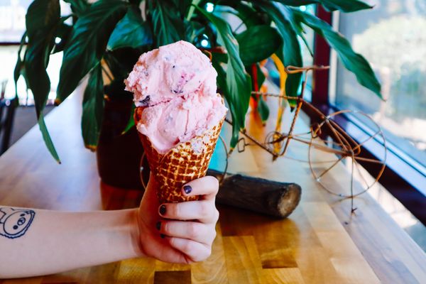 ICECYCLE CREAMERY - Updated May 2026 - 328 Photos & 272 Reviews - 6147 ...