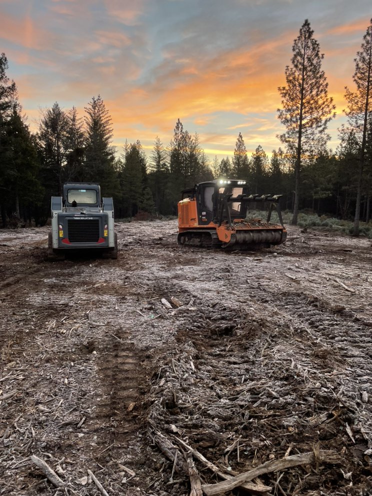 GARRETT FOREST MANAGEMENT - Updated October 2025 - 58 Photos - Pollock ...