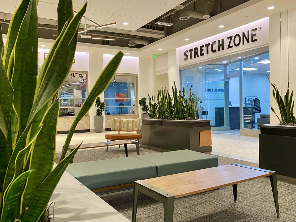 STRETCH ZONE - Updated May 2026 - 14 Photos - 800 Kenilworth Dr, Towson ...