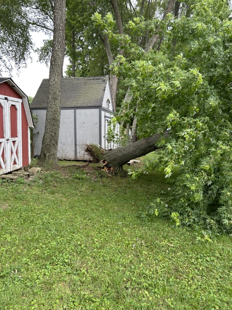 CHASE CROCKETT TREE CARE - Updated December 2025 - Ingalls, Indiana ...