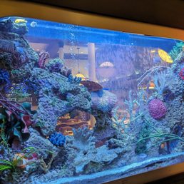 ATLANTA FISH MARKET - Updated January 2026 - 1606 Photos & 1462 Reviews ...