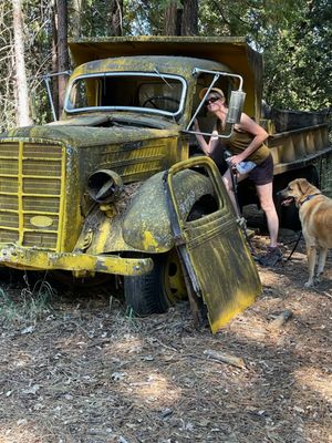 LAZY Z RESORT - Updated June 2025 - 129 Photos & 67 Reviews - 22732 ...