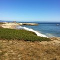 LIGHTHOUSE FIELD STATE BEACH - 481 Photos & 138 Reviews - 701 W Cliff ...